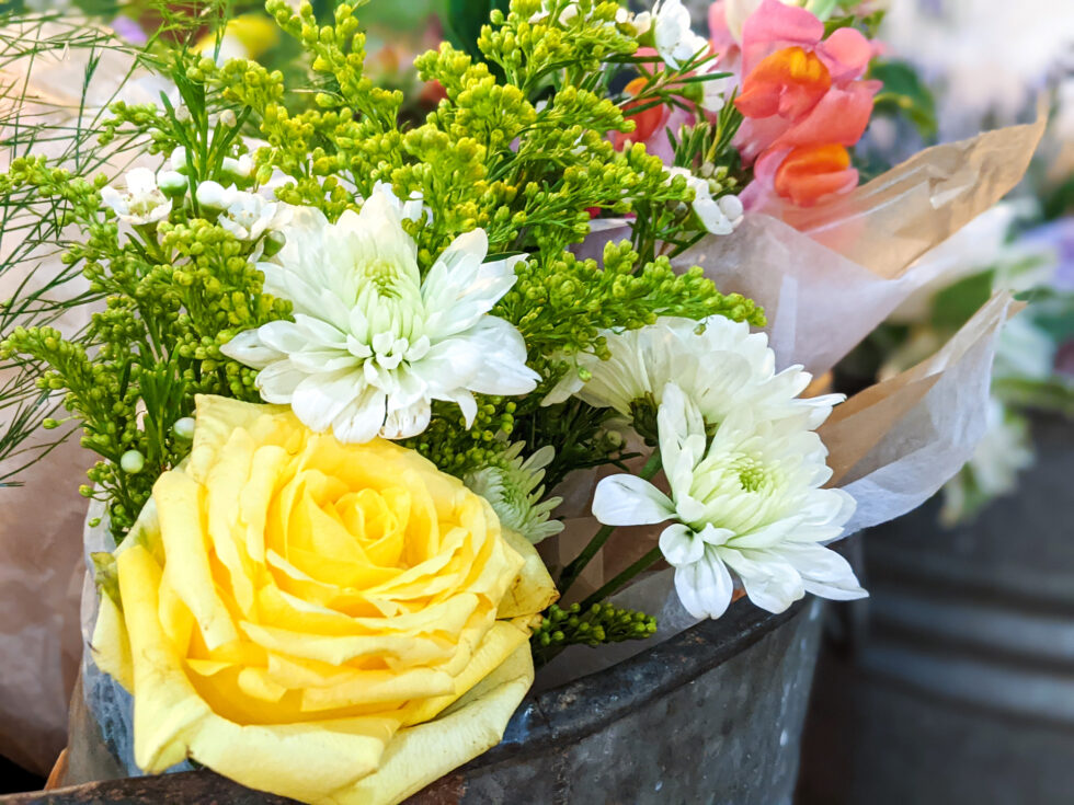 Getting Ready for Spring Harvest | Lancaster Central Market